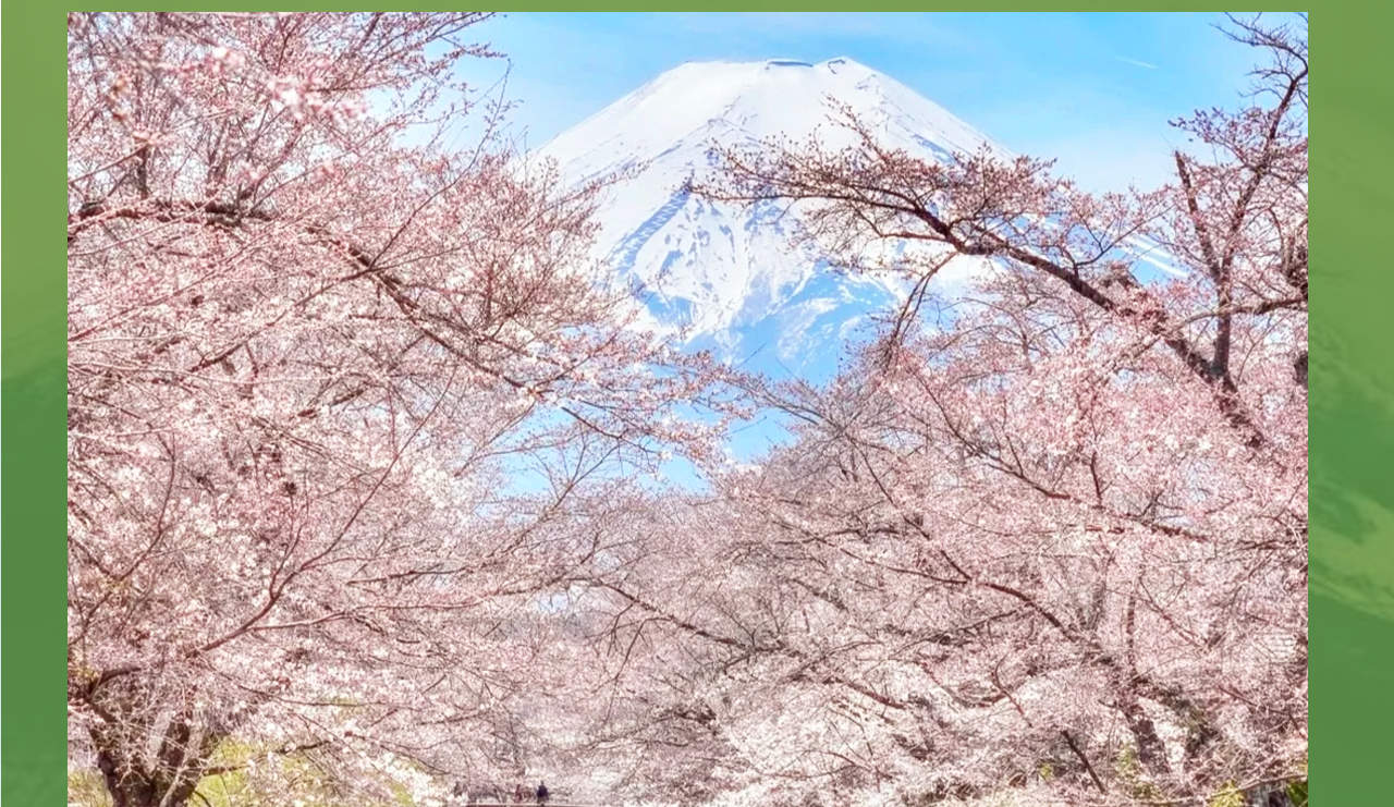 [Must-Do for Families] Fuji Safari Park × Oshino Hakkai × Oishi Park ...